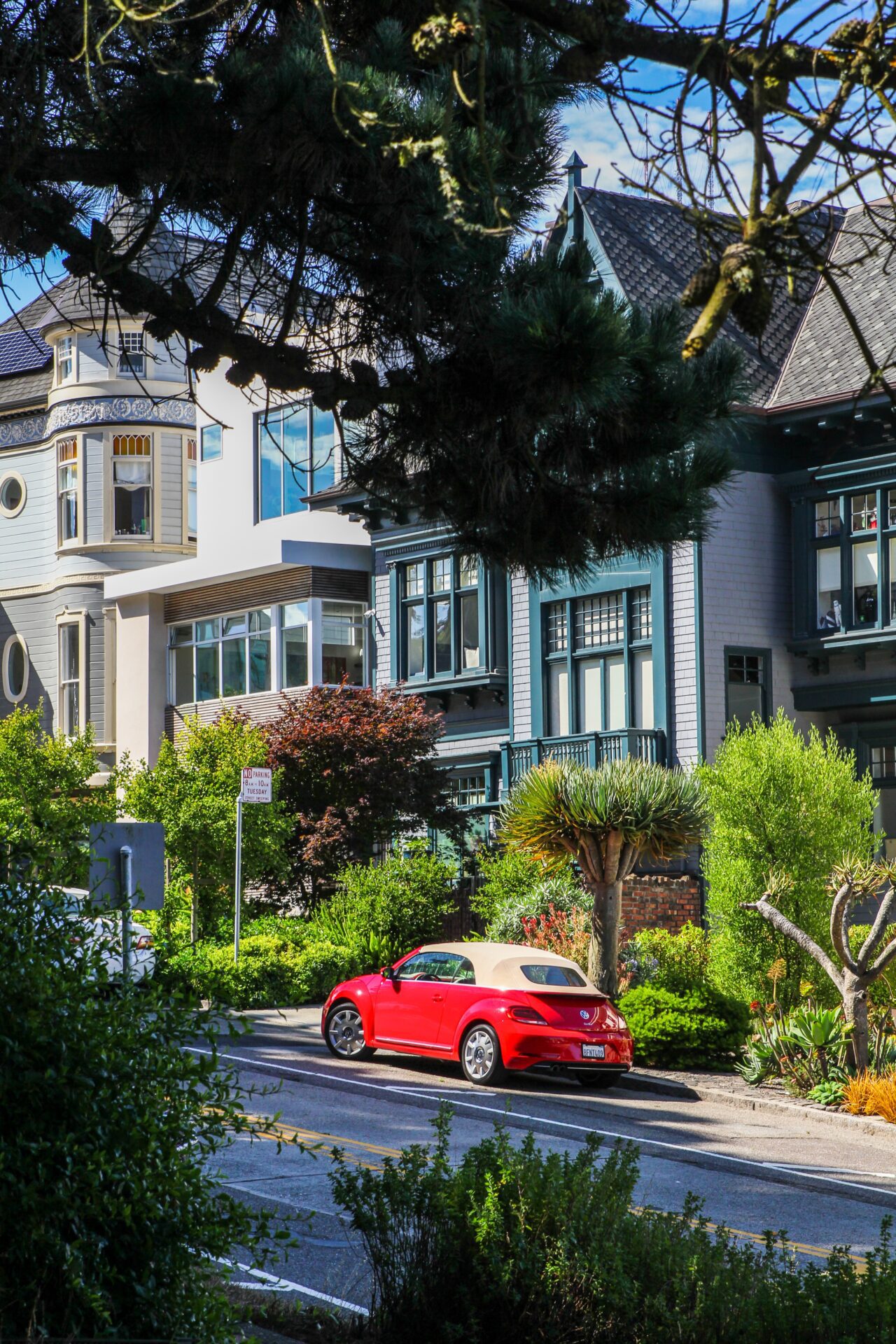 Mastering the San Francisco Bay Area Rental Market: A Tenant's Guide to ...
